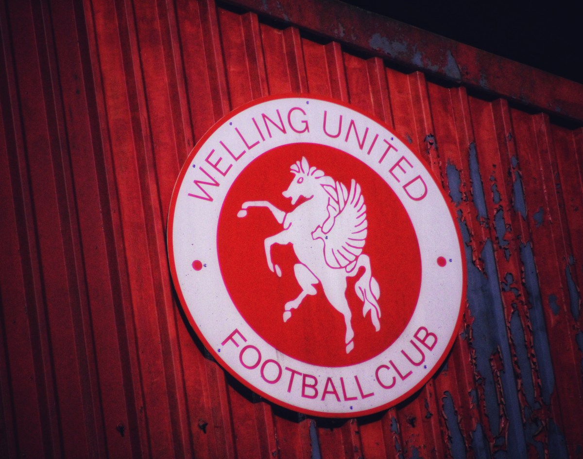 Welling Utd 0 St Albans City 2 – The Ball is Round